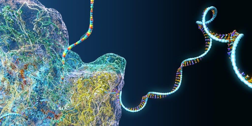 Comprehensive Guide to Ribosome Profiling - Eirna Bio