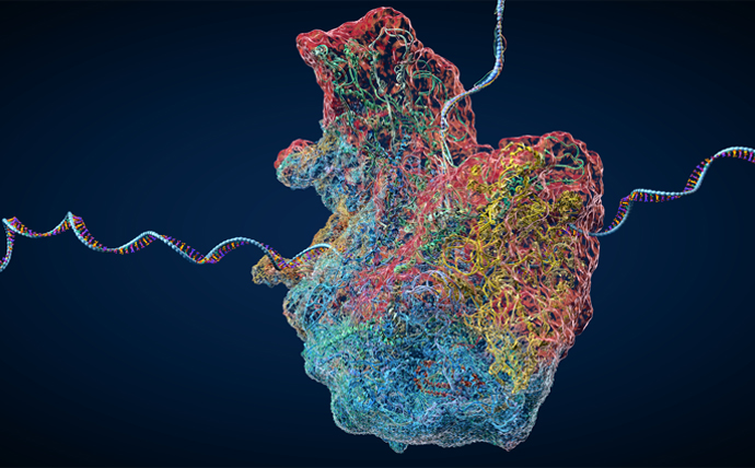 Polysome-Seq - Eirna Bio