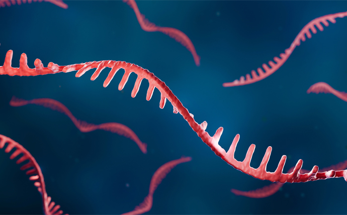 Polysome-Seq - Eirna Bio