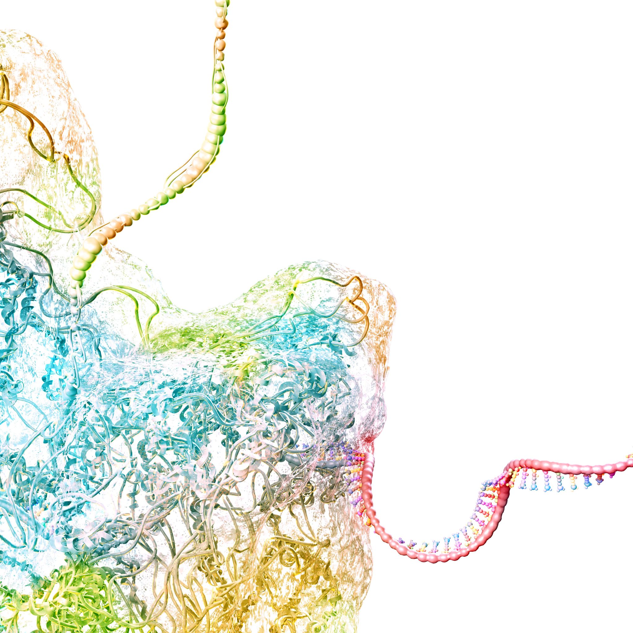 Translatomics for tRNA, rRNA, and mRNA decay - EirnaBio