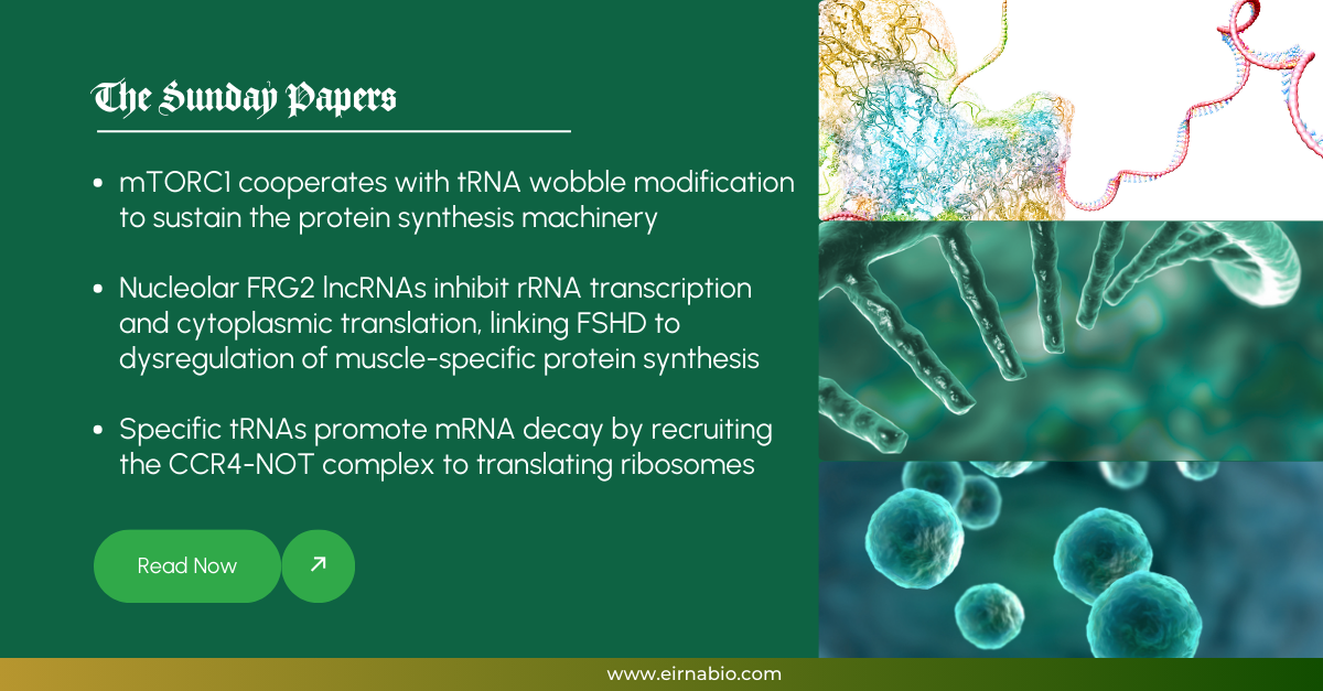Translatomics for tRNA, rRNA, and mRNA decay - EirnaBio